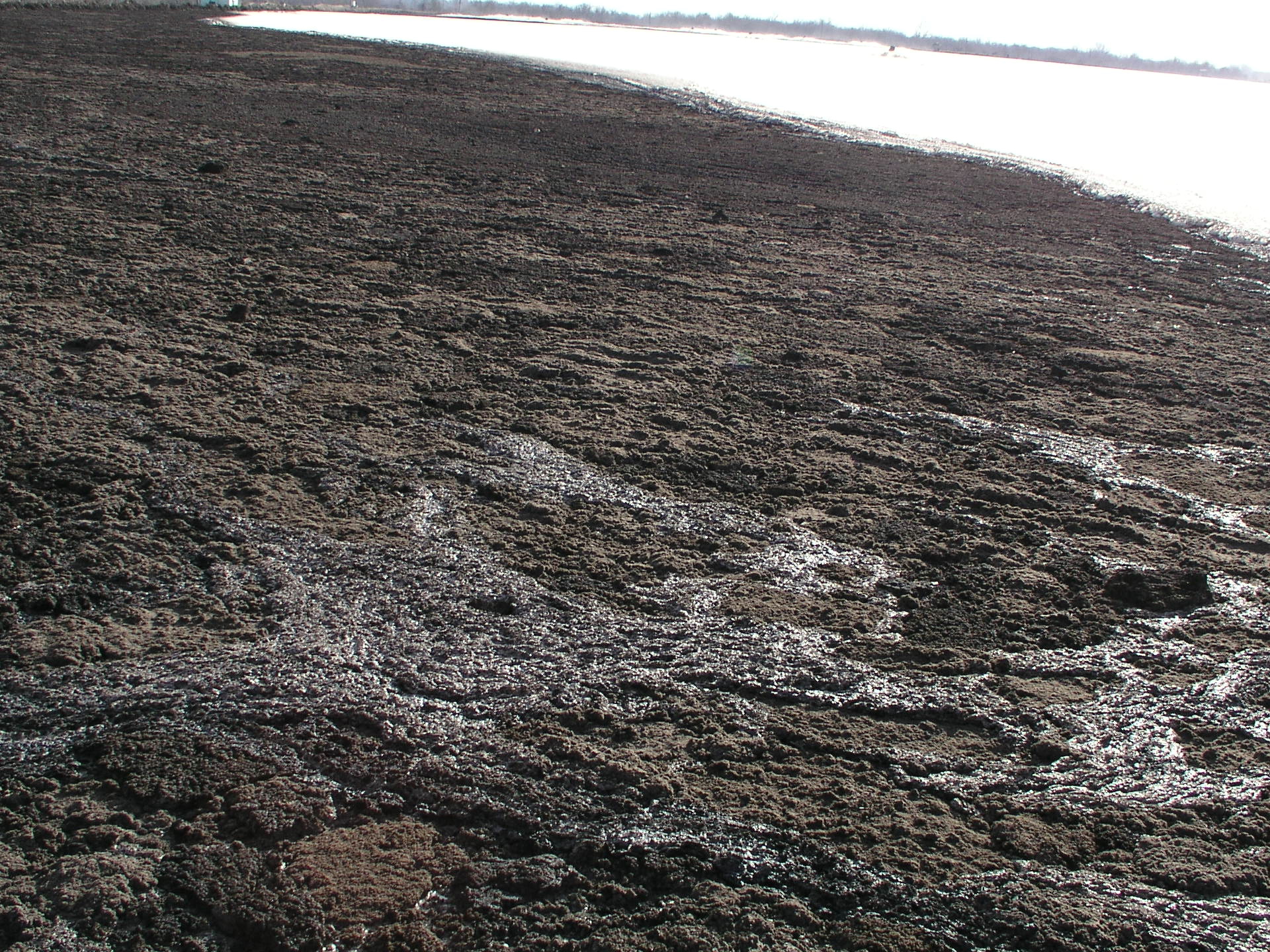 The True Cost of Sludge Accumulation