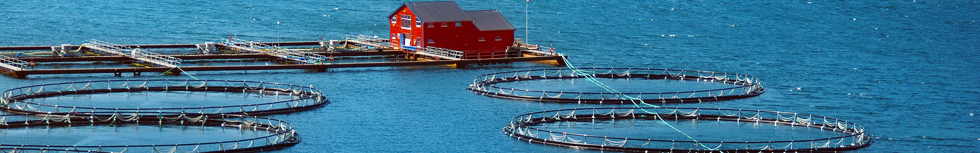 Aquaculture | EnviroZyme