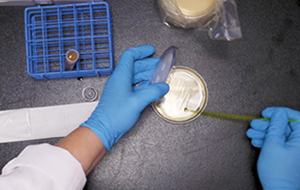 Taking Quality to the Highest Level: Our Zero-Defects Policy