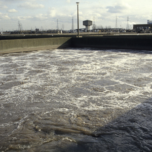 "Forever Chemicals" in Retained Sludge